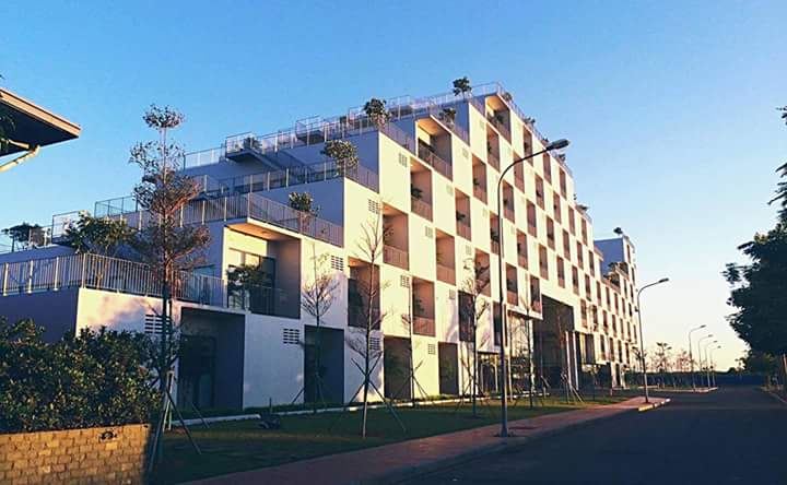 HÒA LẠC - NHỮNG NĂM THÁNG ẤY | Trường THPT FPT Hà Nội