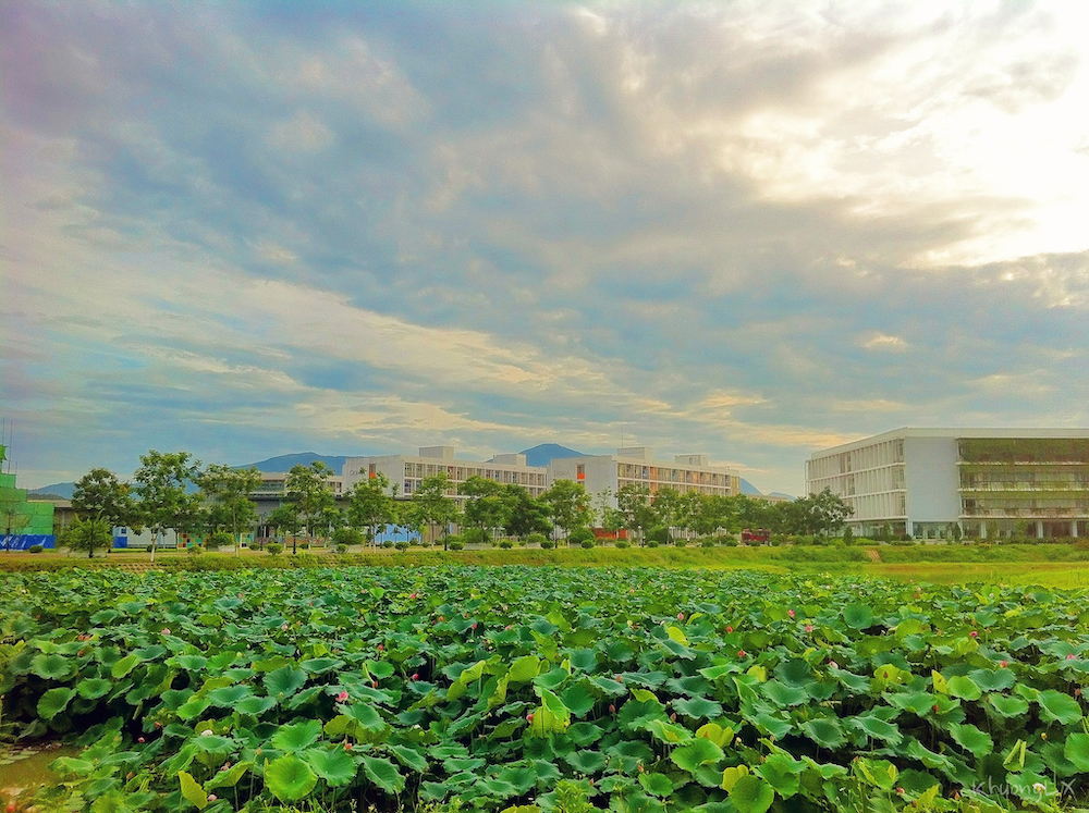 Khoảng trời Hoà Lạc của bạn đang thì thầm điều gì? | Trường THPT FPT Hà Nội